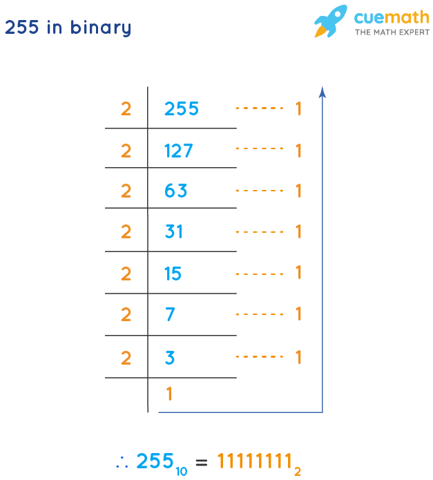 255 In Binary How To Convert 255 From Decimal To Binary 